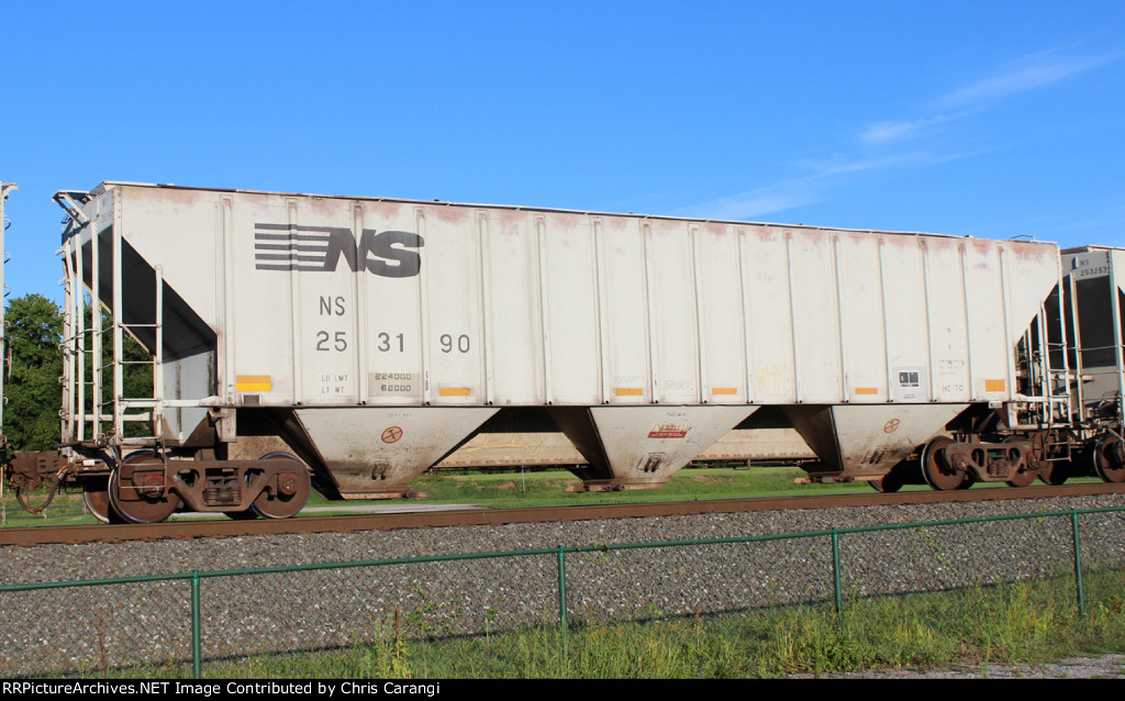 NS 253190